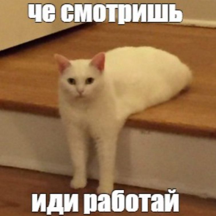 Иконка канала ПРОСТО ВСЕ ПРИКОЛЬНОЕ