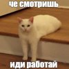 Иконка канала ПРОСТО ВСЕ ПРИКОЛЬНОЕ