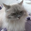Иконка канала Аккаунт Был Удалён