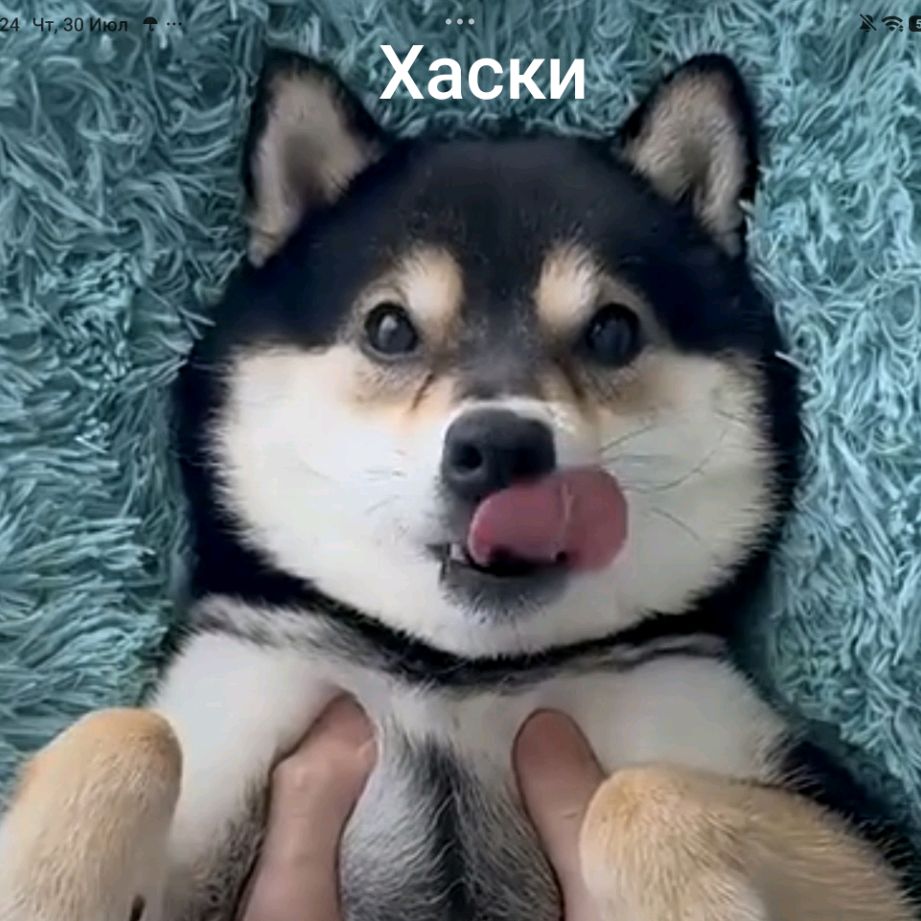 Иконка канала Лов Кик🫶