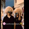 Иконка канала 👑Высокомерная👑