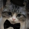 Иконка канала Niko_4kgames