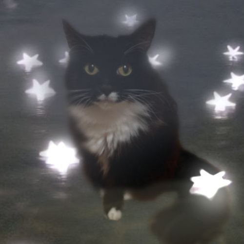 Иконка канала (𓂂꜆◕⩊◕꜀𓂂)