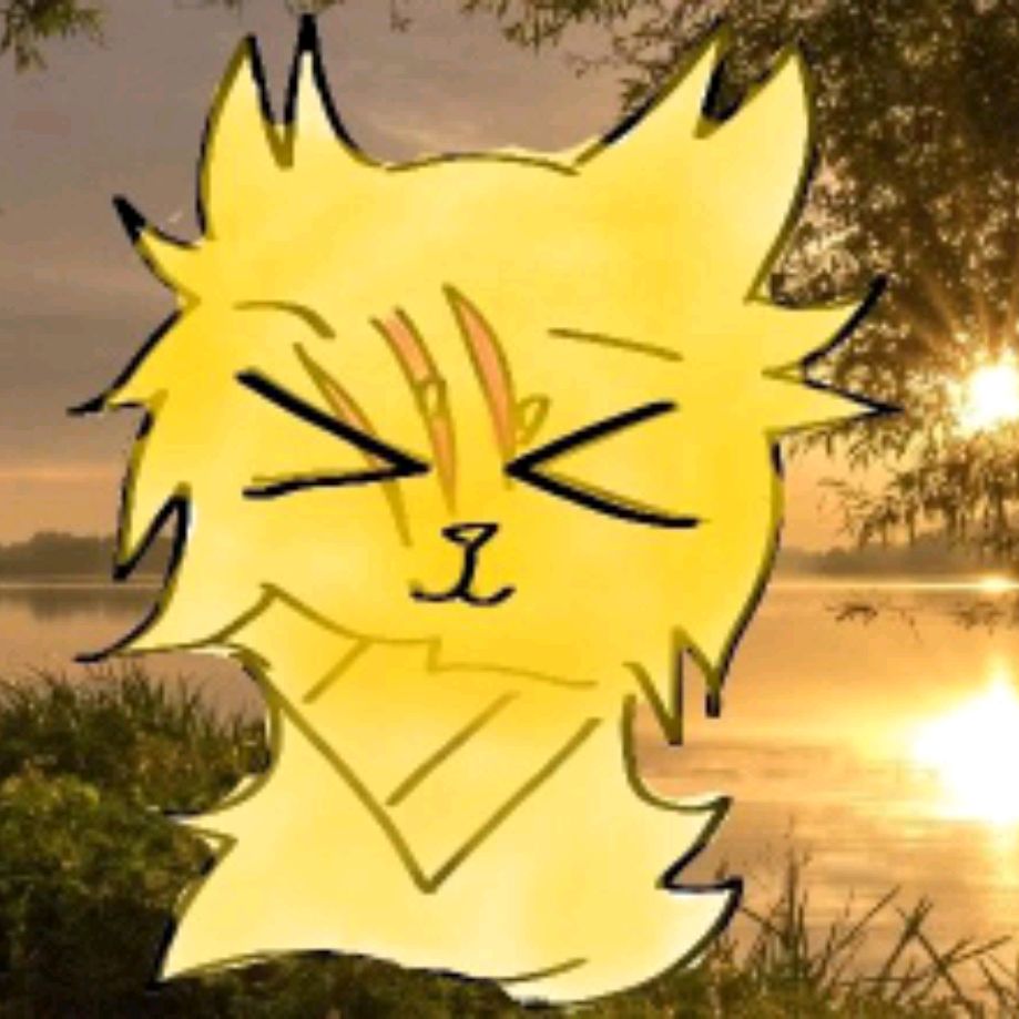 Иконка канала SunFlowerOnline