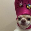 Иконка канала channel80197333