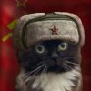Иконка канала Советский кот 15к