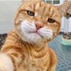 Иконка канала Кузьма Мяу😺