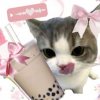 Иконка канала mochi_DIY