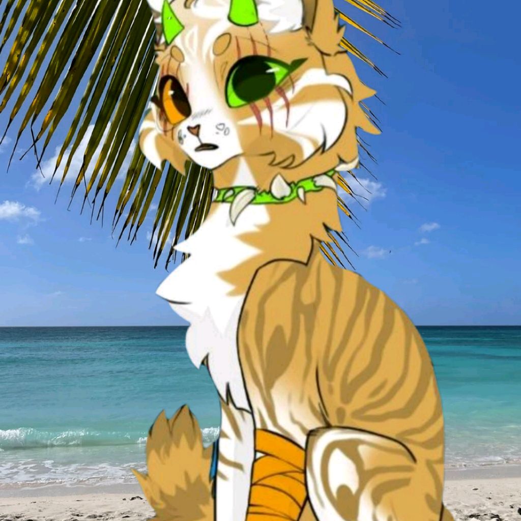 Иконка канала Wild CAT КВ