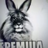Иконка канала Черемша