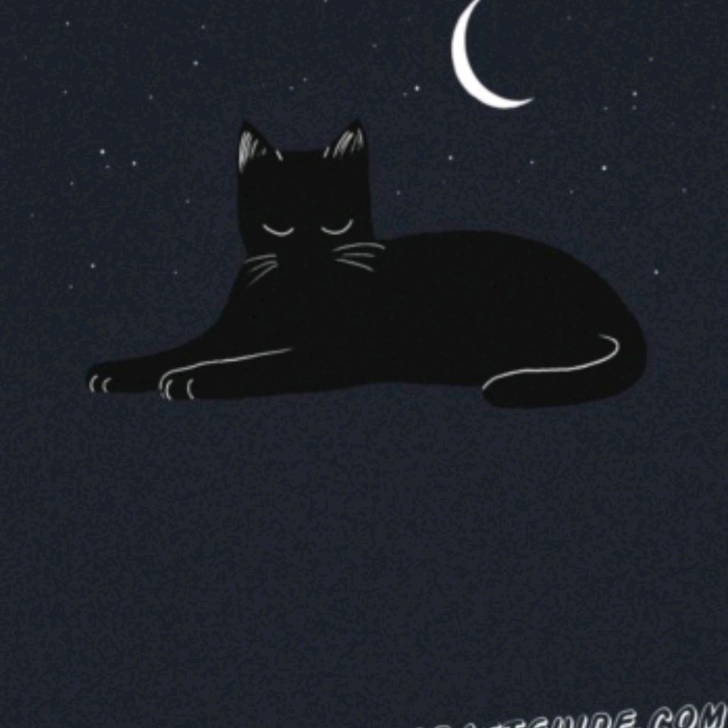 Иконка канала 🖤Black Cat🖤