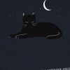 Иконка канала 🖤Black Cat🖤