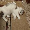 Иконка канала Душевные истории