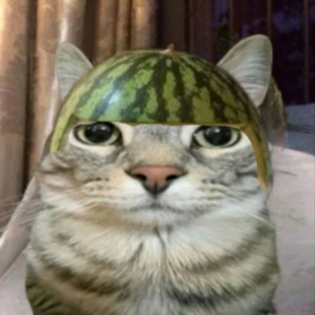 Иконка канала Dadozer