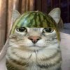 Иконка канала Dadozer