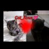 Иконка канала Cat_house💗