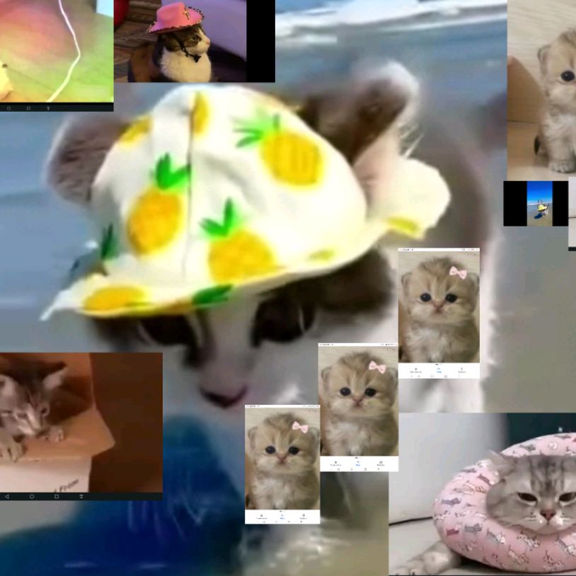 Иконка канала 🐾 Лапки Царапки💗