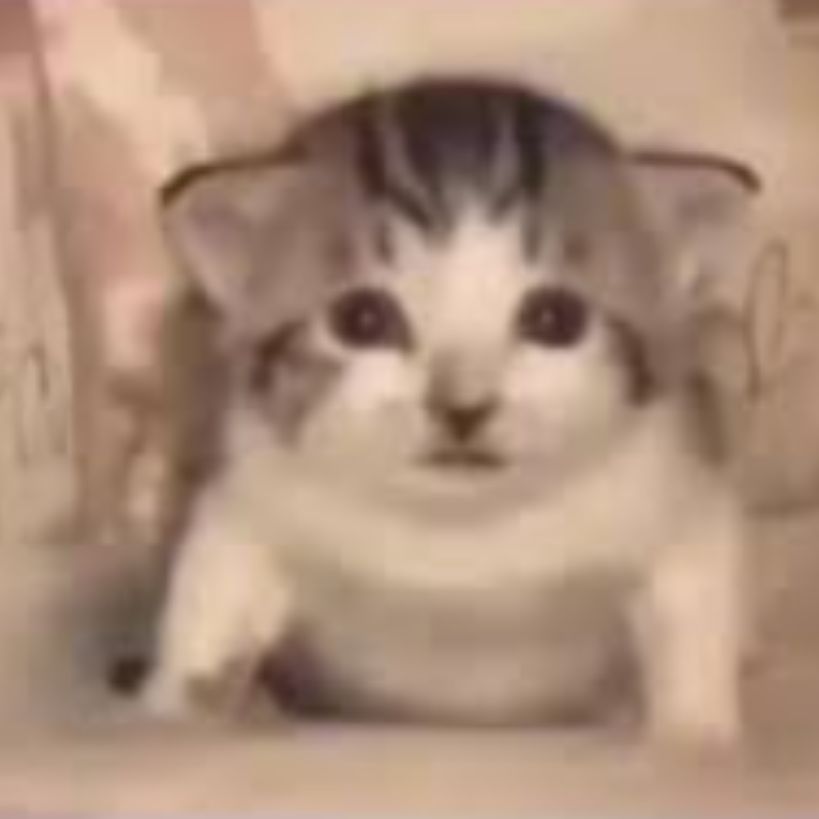 Иконка канала 🫪🩵💎бя Catkit бя  🩵💎🫪