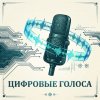 Иконка канала НСИС: Цифровые голоса 2.0
