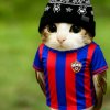 Иконка канала Гоша