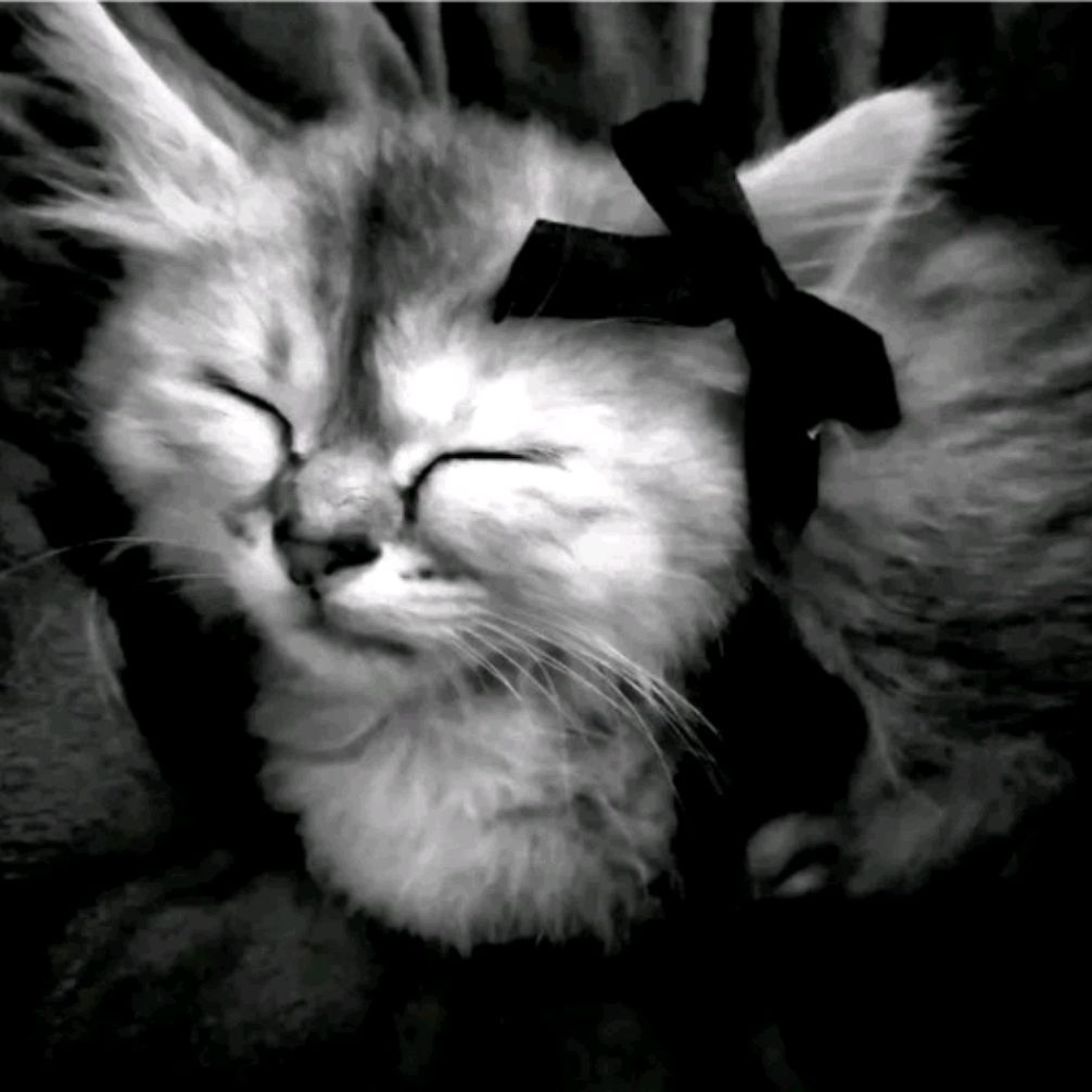 Иконка канала 🖤🌺..MiSs_MiLashA..🖤🌺
