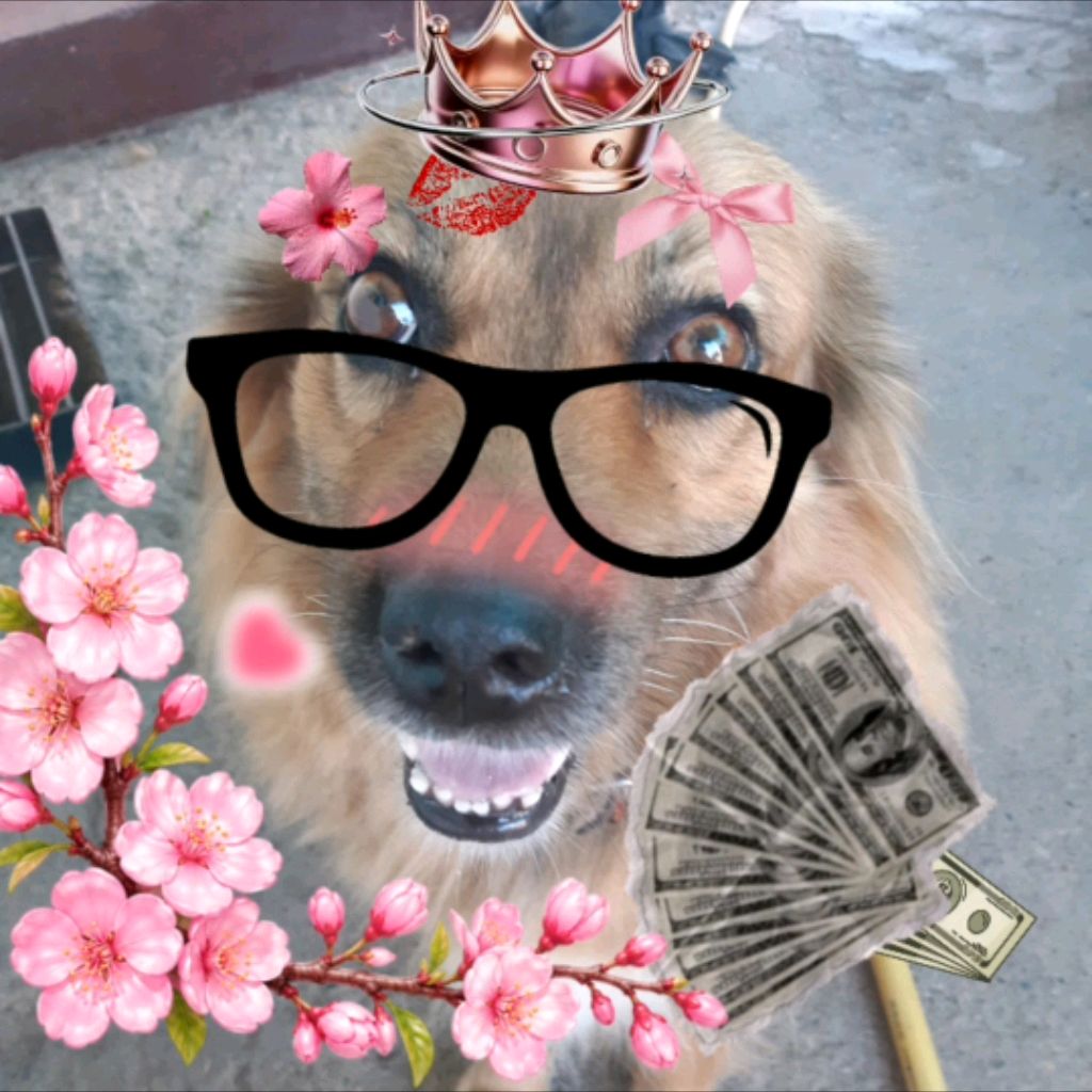 Иконка канала MILKY DOGS