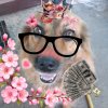 Иконка канала MILKY DOGS