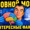 Иконка канала VadimNevrolog