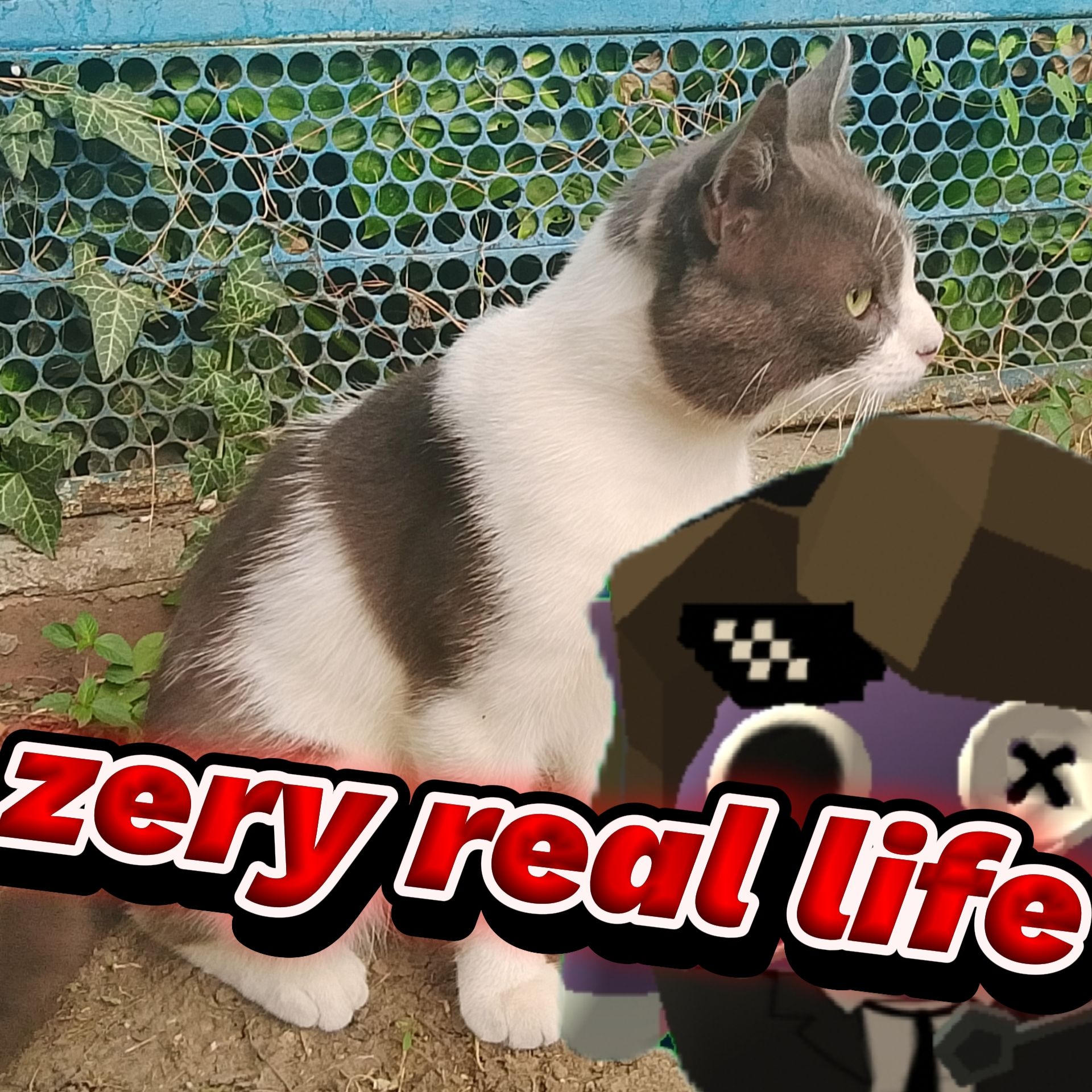 Иконка канала Zery real
