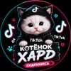 Иконка канала Котёнок Хард