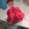 Иконка канала Мария Калита