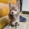 Иконка канала Супер Венни