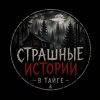 Иконка канала Другая История