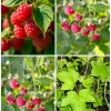 Иконка канала channel28005442. 🍀🍃💧
