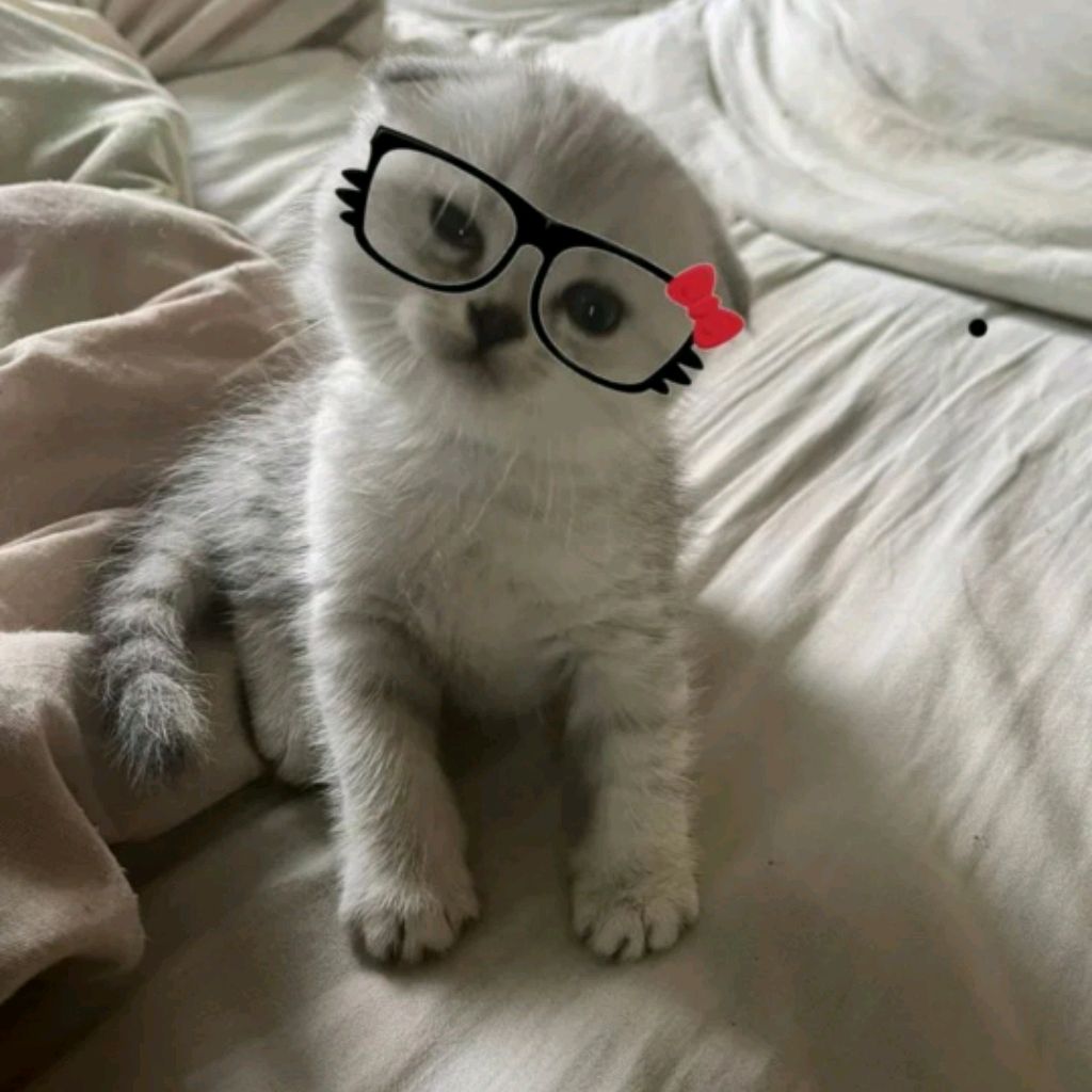 Иконка канала 🐭🌺..MiSs_MiLashA..🐭🌺