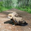 Иконка канала Юлия