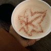 Иконка канала 🍁Milkisi🎃Xelovin🍂