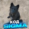 Иконка канала Big Flopa