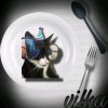 Иконка канала Vilkashpilka