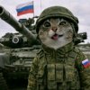 Иконка канала Вискас