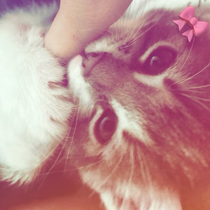 Иконка канала ★🖤🍀Cat_Story🩷🍀★