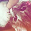 Иконка канала ★🖤🍀Cat_Story🩷🍀★