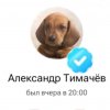 Иконка канала Альбина