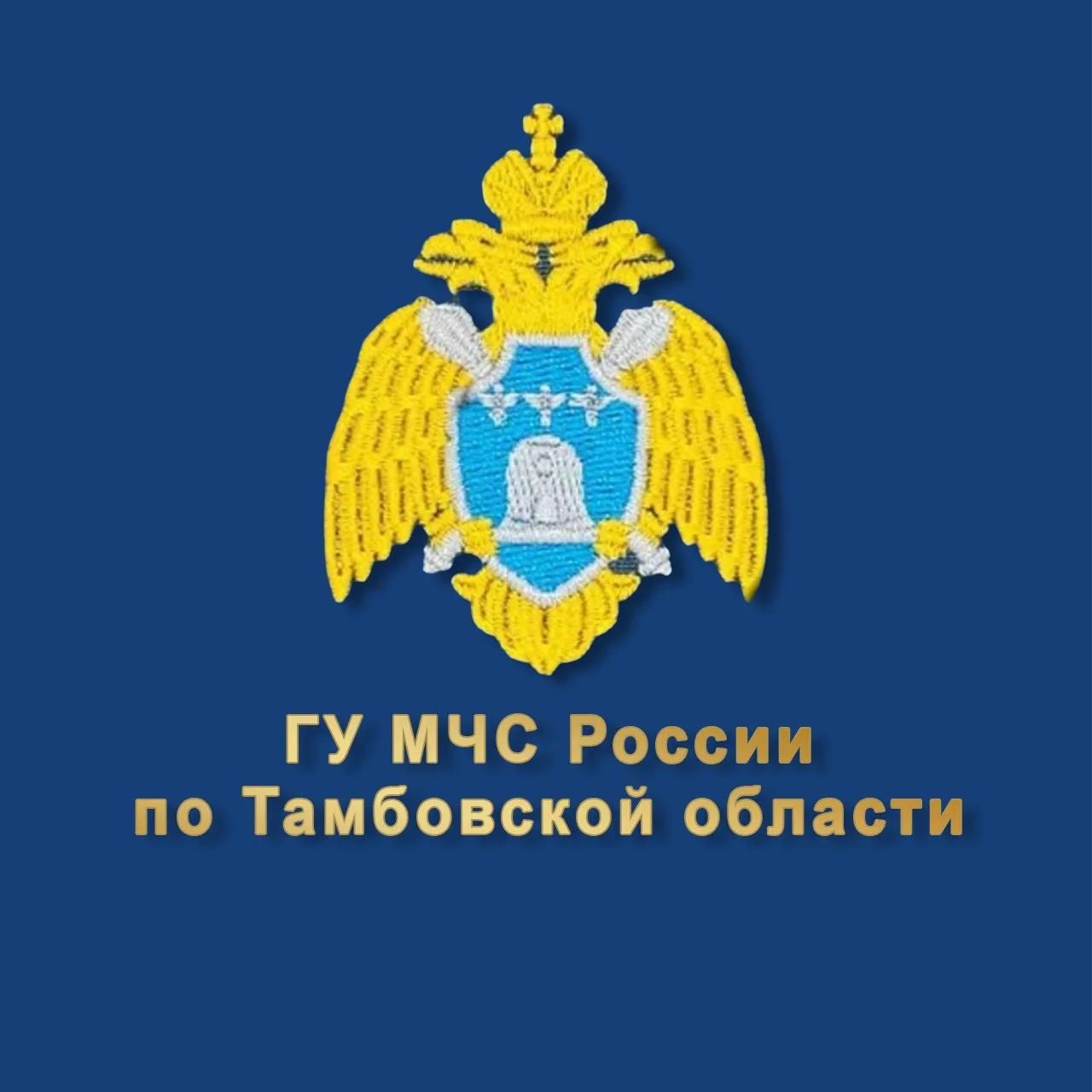 Иконка канала ГУ МЧС России по Тамбовской области