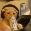 Иконка канала Whiskas