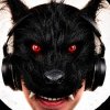 Иконка канала Seroin