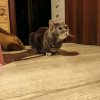 Иконка канала Со❤️ Ри💗 Ко😎