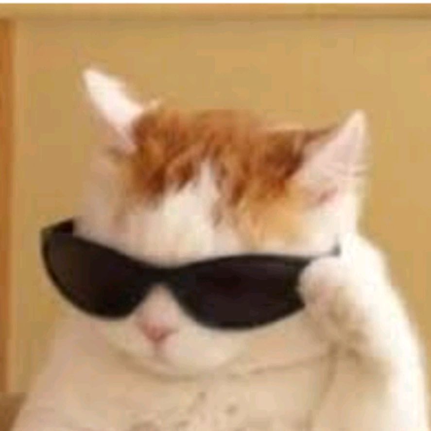 Иконка канала КРУТОЙ КОТ😎