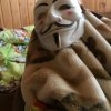 Иконка канала Сусоед