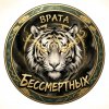 Иконка канала Врата Бессмертных
